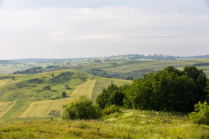 Green Summer Landscape in Rural Romania Stock Photo - Image of outdoors ...
