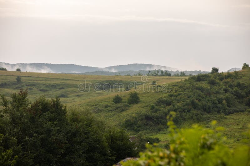 Green Summer Landscape in Rural Romania Stock Image - Image of pasture ...