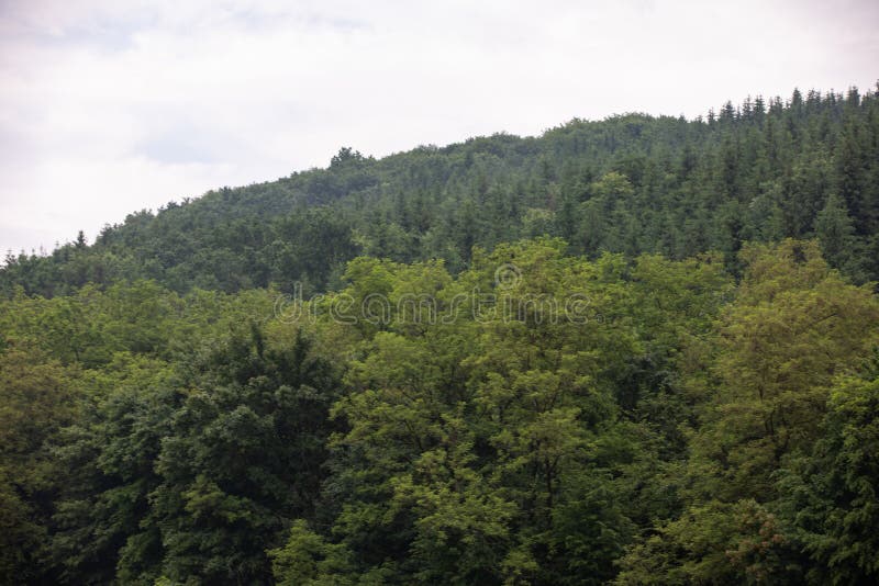 Green Summer Landscape in Rural Romania Stock Image - Image of hill ...