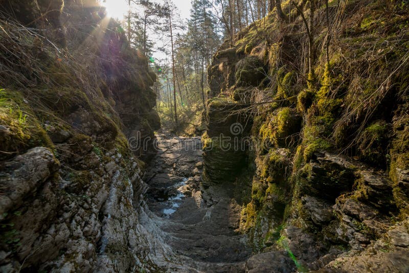 Path through Greenery in Southern England Stock Image - Image of dense ...
