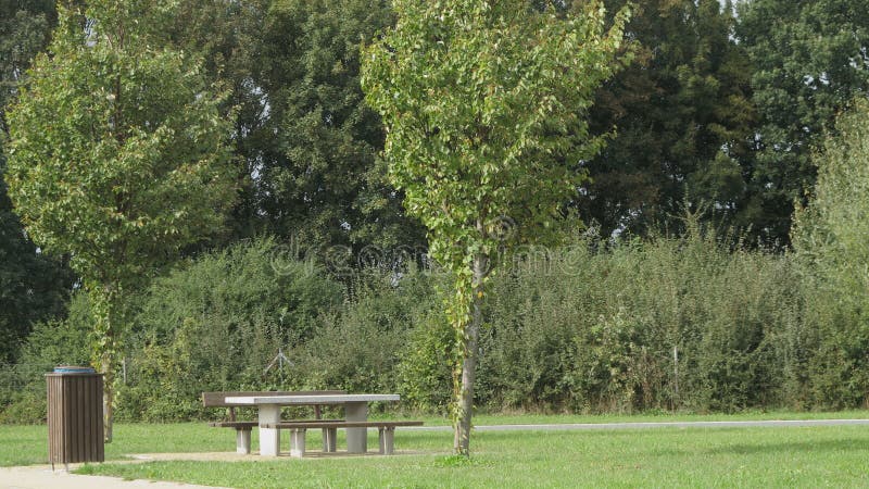 Green and sunny rest area stock photo. Image of driver - 33916392