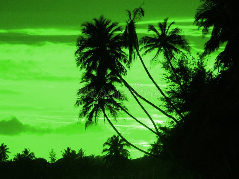 Green sunset stock image. Image of green, tropical, paradise - 981433