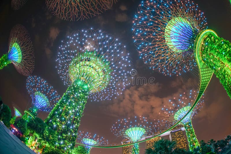 Green super tree stock photo. Image of gardens, spot - 357071478