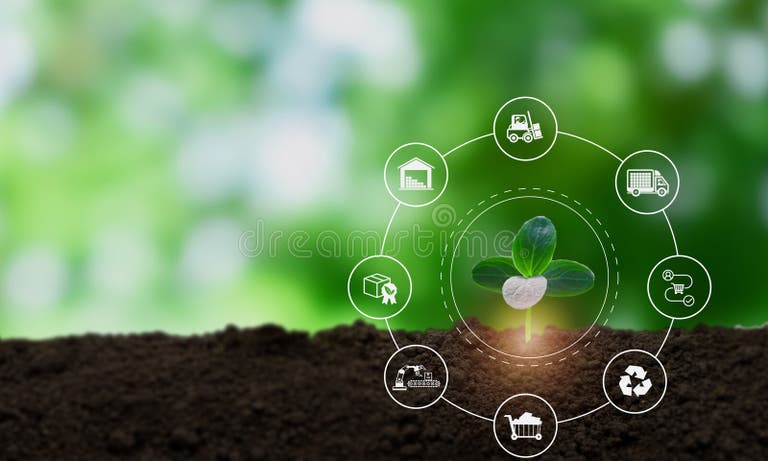 226 Sustainable Sourcing Practices Stock Photos - Free & Royalty-Free ...