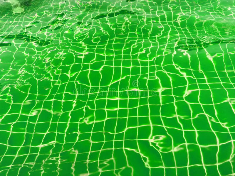Green Swimming Pool Water with Tiles and Palm Tree Shadow Stock Image ...