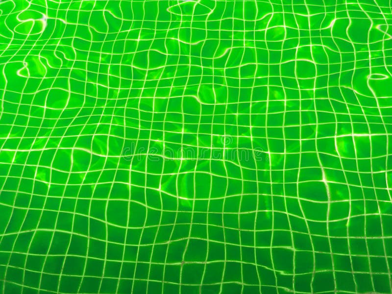 Green Swimming Pool Water with Tiles and Palm Tree Shadow Stock Image ...