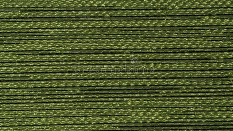 Green Synthetic Threads Tissue Macro Close Up Stock Photo - Image of ...