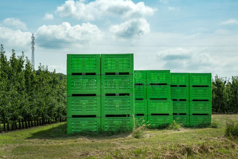 Green Tall Boxes in the Middle of a Field Surrounded by Forest Stock ...