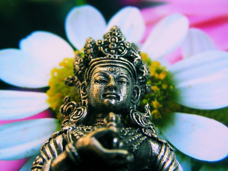 7,926 Tara Green Videos Stock Photos - Free & Royalty-Free Stock Photos ...