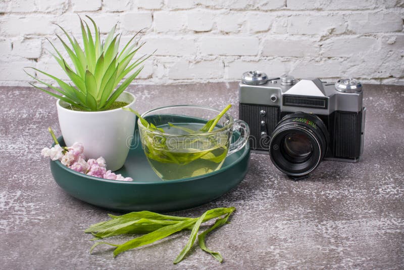 Green tarragon tea. stock photo. Image of medicinal - 184884708
