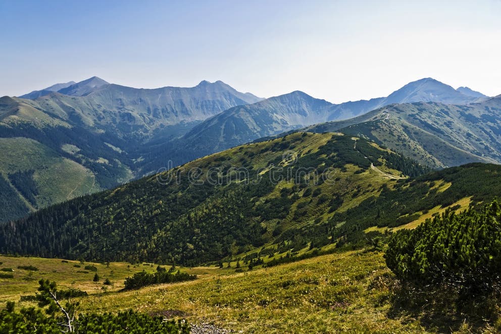 Green Tatra mountain stock photo. Image of trekking, mountain - 23414038