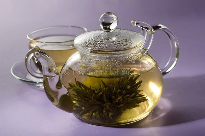 Green tea stock image. Image of healthy, plant, teapot - 12479587