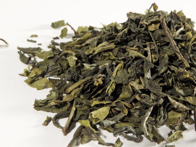 Organic Green Chai Tea stock image. Image of leaves, crop - 10082793