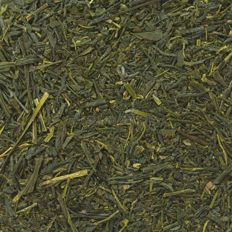 Green Tea stock photo. Image of ingredient, still, flora - 1792060