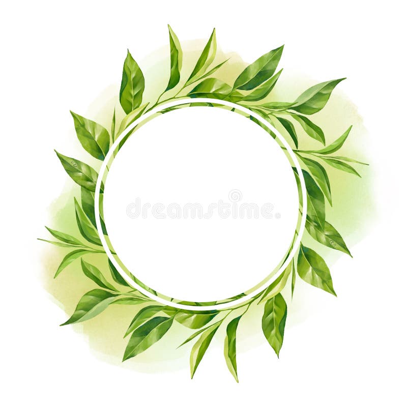 Green Tea Background. Hand Drawn Tea Leaves Round Frame Design Stock ...