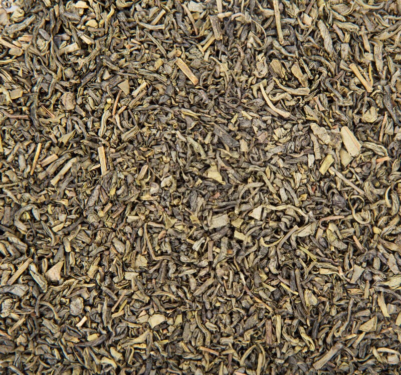 Fennel stock photo. Image of botanical, bunch, food, seed - 15370102