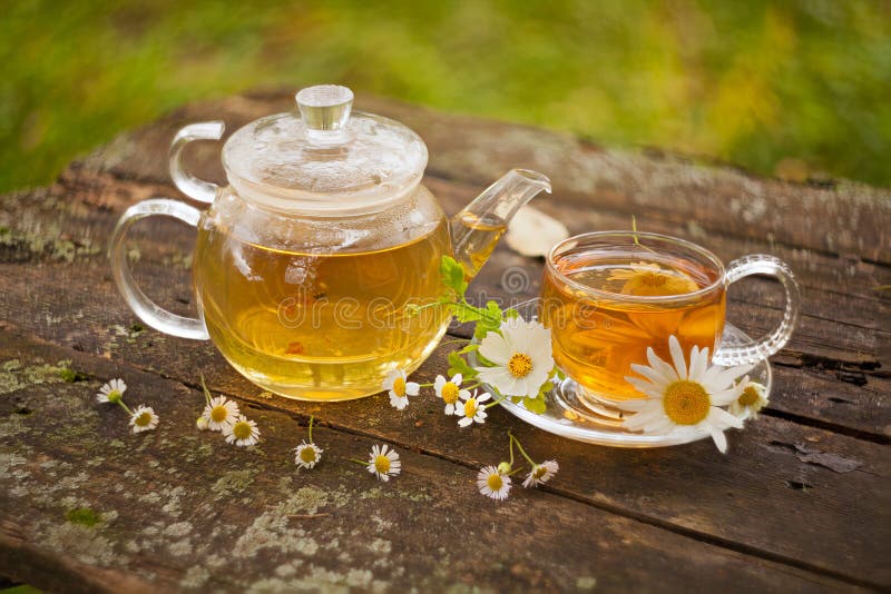 Green tea in beautiful cup stock photo. Image of infusion - 87819472