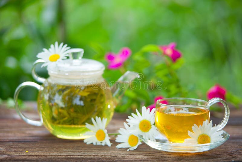 Green tea in beautiful cup stock image. Image of background - 95790683