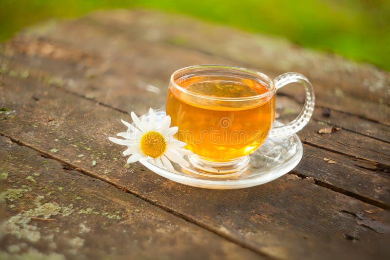 Green tea in beautiful cup stock photo. Image of liquids - 77847892