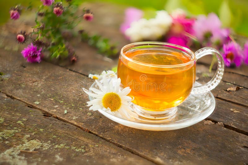 Green tea in beautiful cup stock image. Image of alternative - 77848363