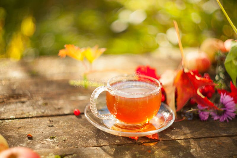 Still Life with Cup of Tea and Beautiful Pink Flowers Under the Rain ...