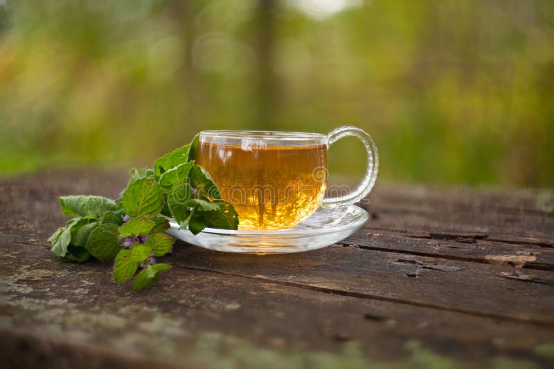 Green tea in beautiful cup stock image. Image of medicine - 87579537