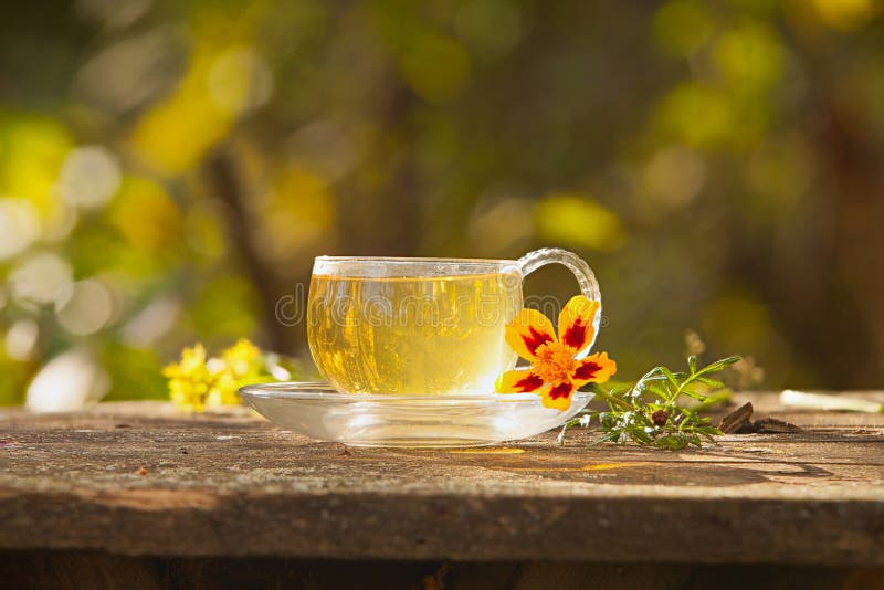Green tea in beautiful cup stock photo. Image of breakfast - 88061920