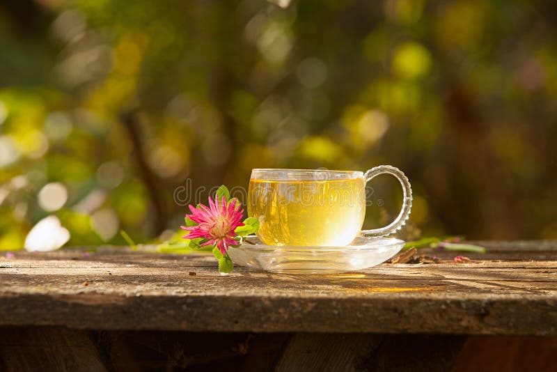 Green tea in beautiful cup stock photo. Image of medicinal - 88061954