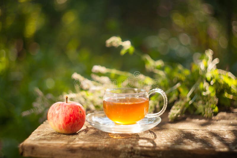 Green tea in beautiful cup stock photo. Image of chinese - 88974806
