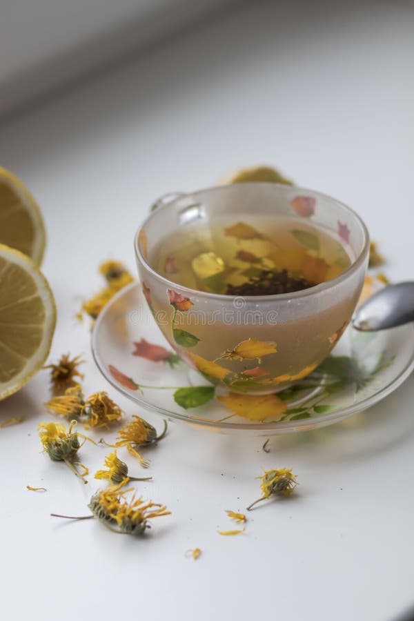 Green Tea in a Beautiful Cup Stock Image - Image of ginger, beautiful ...