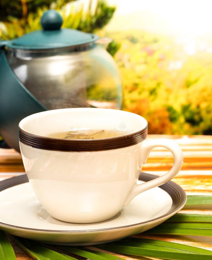Green Tea Break Means Drink Refreshing and Cafeteria Stock Image ...