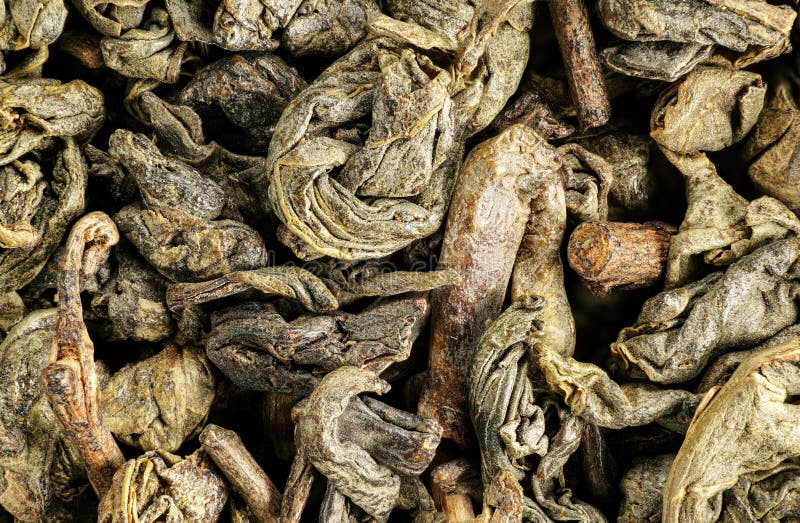 Green Tea, Dry Leaves Detail Under Microscope Stock Image - Image of ...