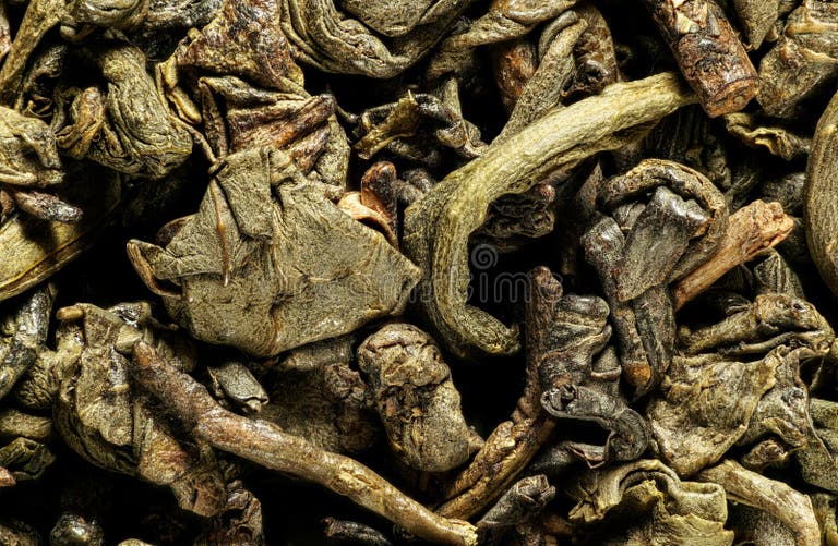 Green Tea, Dry Leaves Under 1.5x Magnification Microscope - Image Width ...