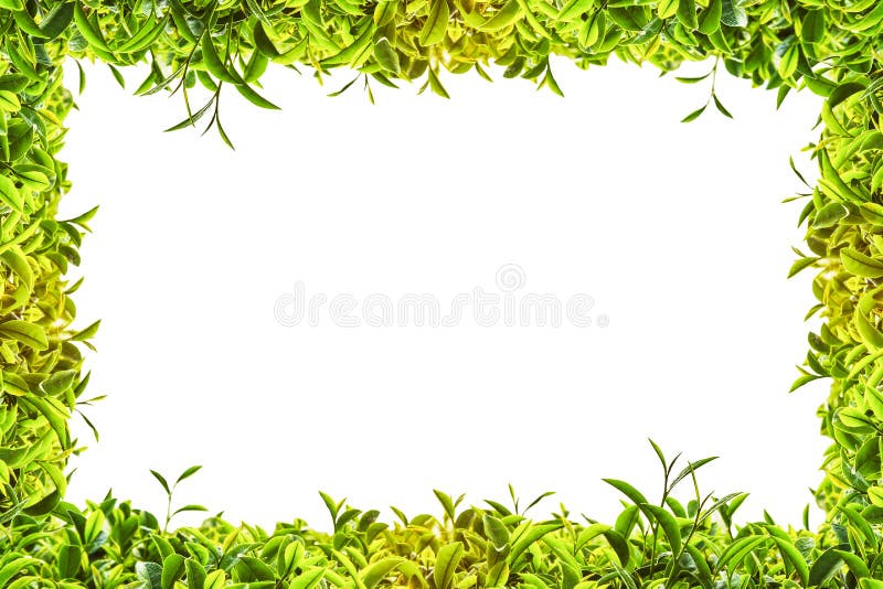 828 High Tea Frame Stock Photos - Free & Royalty-Free Stock Photos from ...