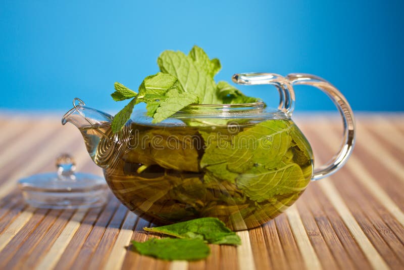 Green tea with fresh mint stock photo. Image of ingredient - 30110922