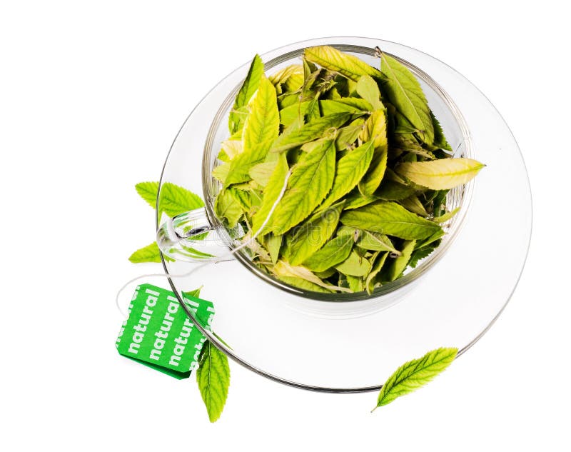 Green tea freshness stock photo. Image of fresh, freshness - 6113676