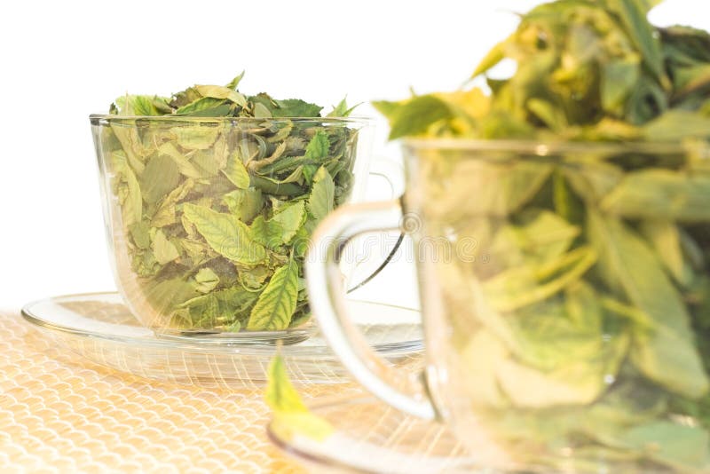 Green tea freshness stock image. Image of floral, sticker - 5931675