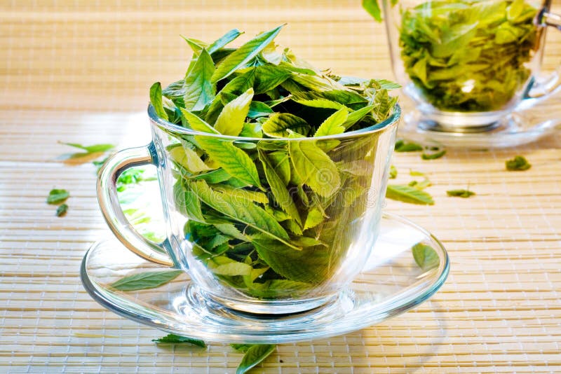 Green tea freshness stock image. Image of fresh, lifestyle - 8652167