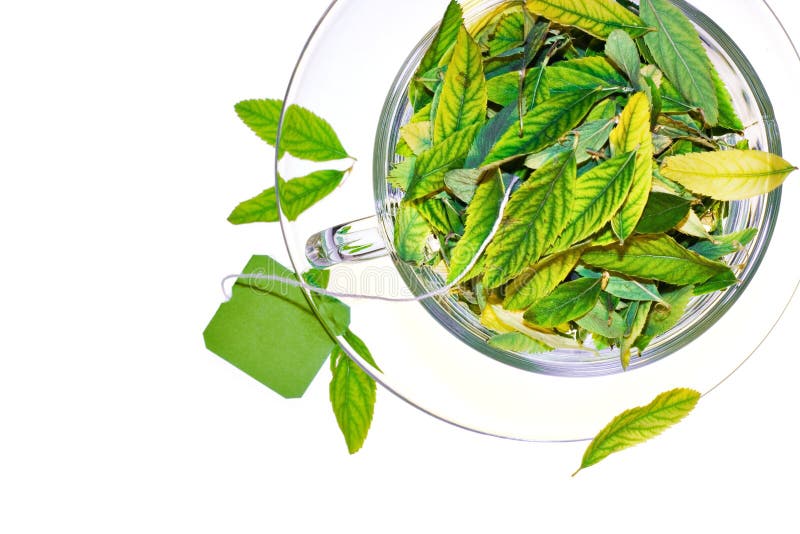 Green tea freshness stock photo. Image of isolated, ideas - 9768460