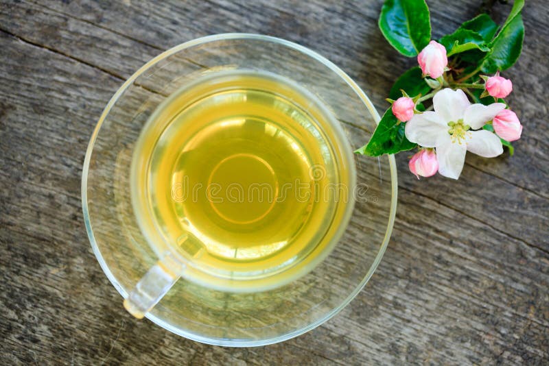 Green tea in glass cup stock photo. Image of nature, beverage - 19326344
