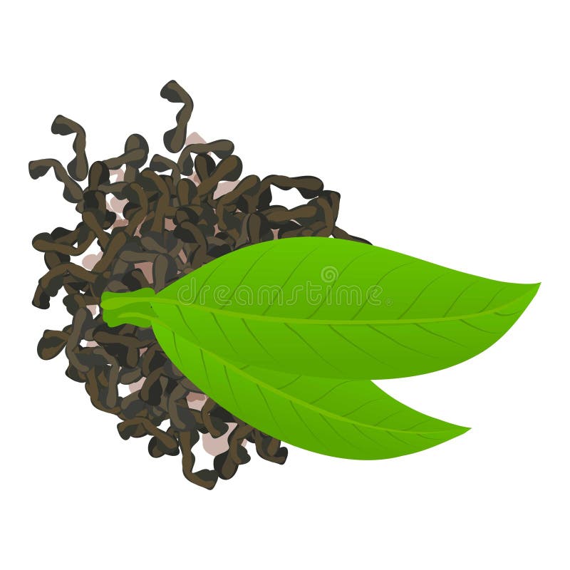 Green Tea Icon Isometric Vector. Fresh Green and Dried Leaf of Tea Bush ...