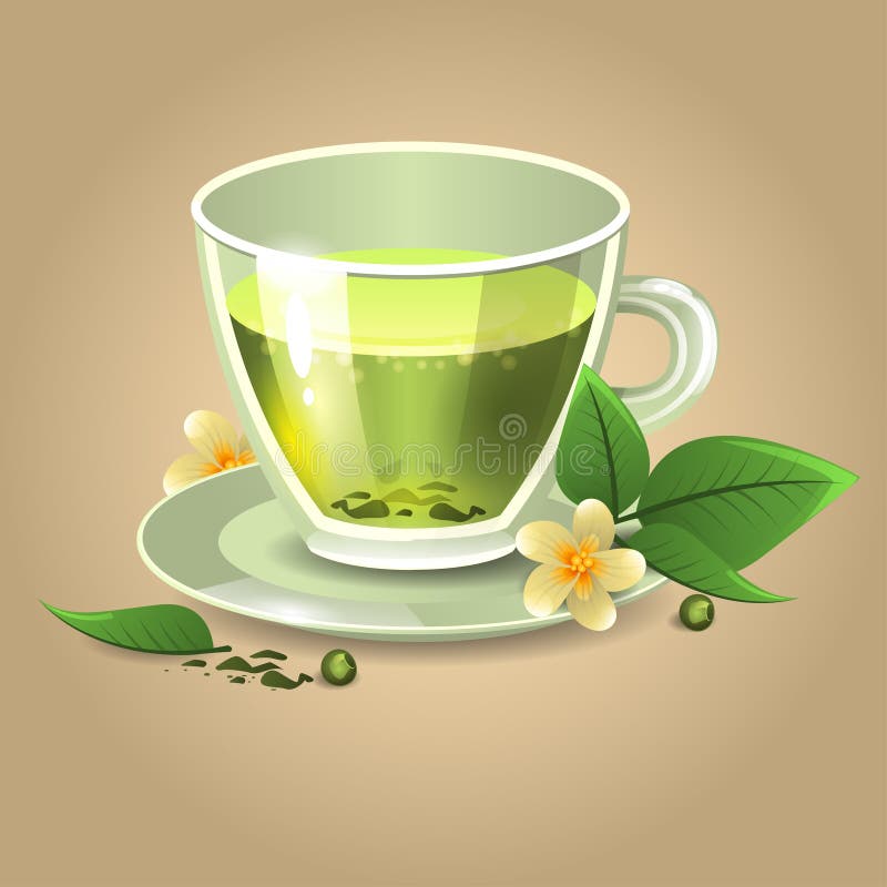 Sketch of Green Tea Cup, Icon Stock Vector - Illustration of saucer ...