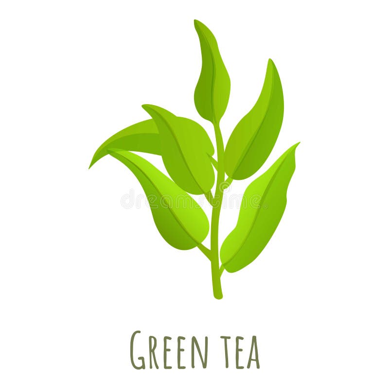 Green Tea Leaf Icon, Cartoon Style Stock Vector - Illustration of cured ...