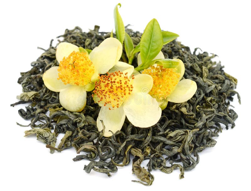 Heap of Green Tea Isolated on White. Stock Photo - Image of prints ...