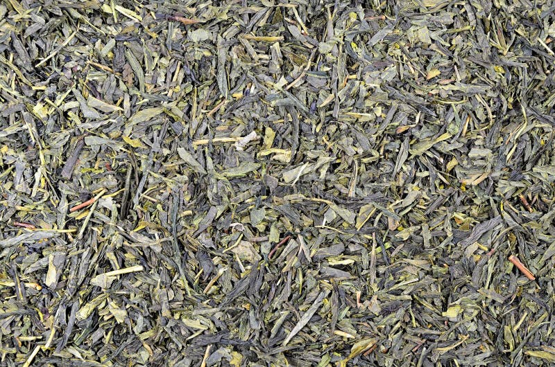 Green Tea Leaflets stock image. Image of leaflet, leaf - 56323869