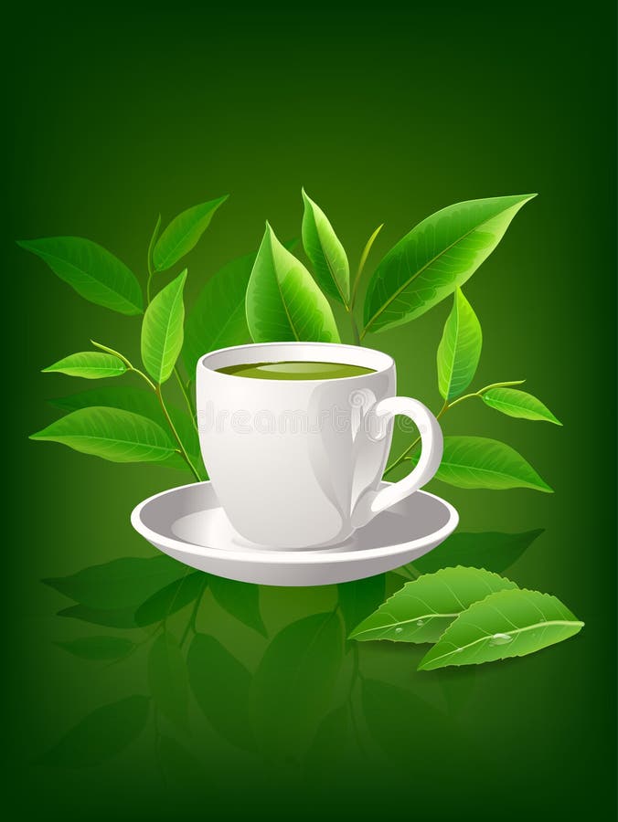Green Tea Leaves Vector Nature Background. Stock Illustration ...