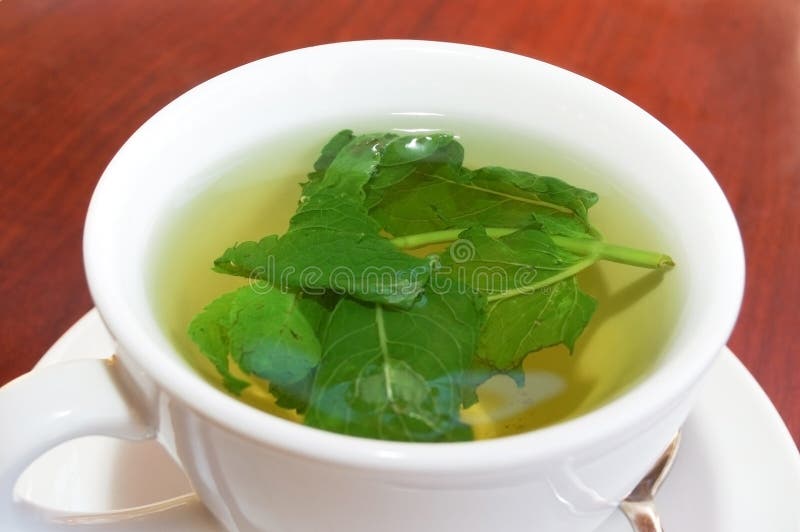 Green tea with mint stock photo. Image of breakfast, herbal - 12673314