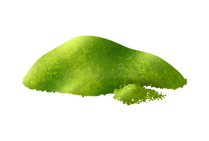 Green Tea Powder stock vector. Illustration of green - 258935191