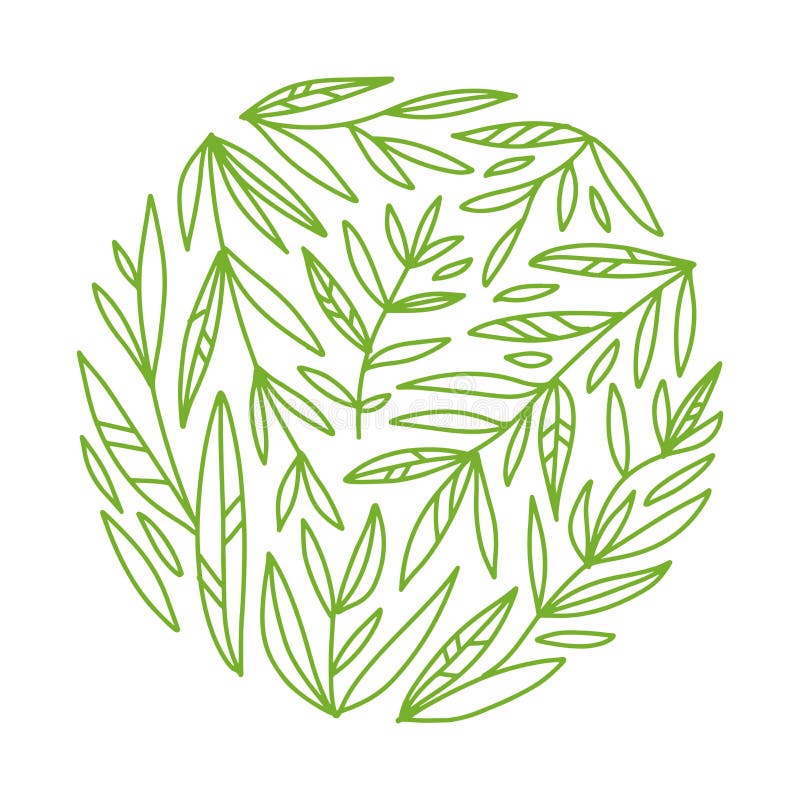 Green Tea. Round Leaves and Branches Pattern Concept in an Outline ...