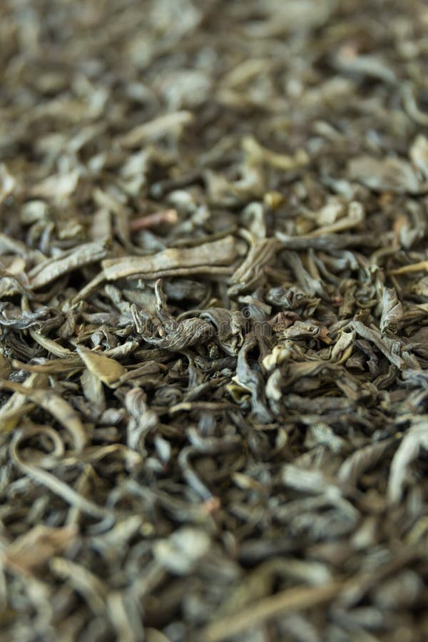 Green Tea on the Surface in Perspective Stock Photo - Image of ...